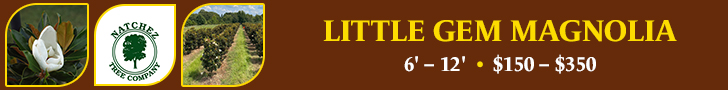 Locate & Find Wholesale Plants | plantANT.com