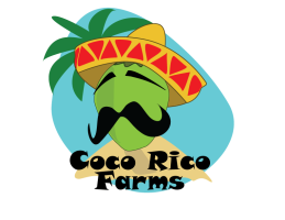 Coco Rico Farns | plantANT.com