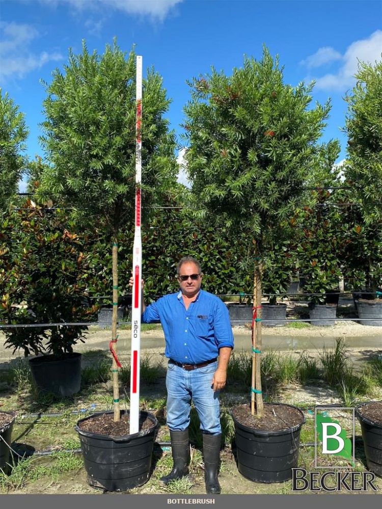 Becker Tree Farm & Nursery | plantANT.com