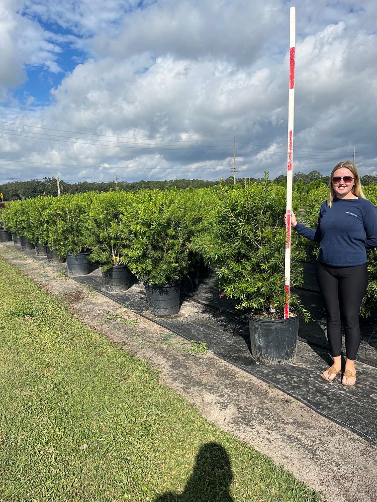 1D Tree Farm, Inc. | plantANT.com