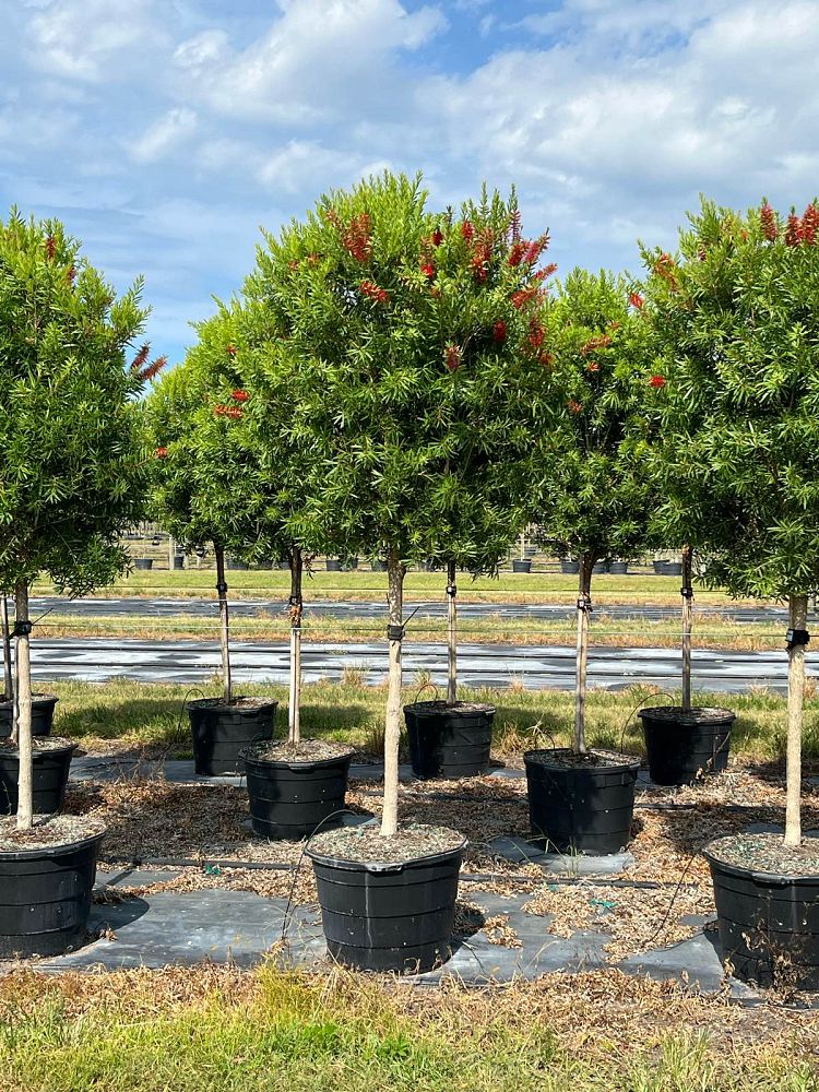 Becker Tree Farm & Nursery | plantANT.com