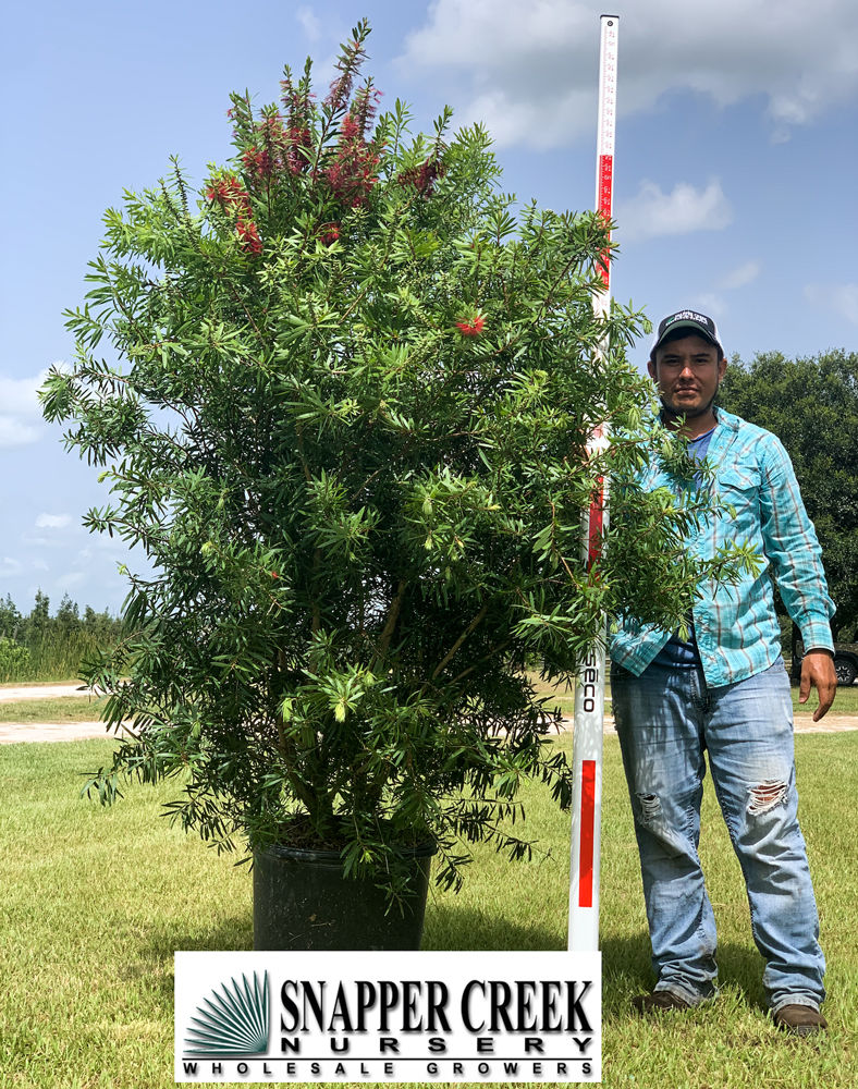 Snapper Creek Nursery | plantANT.com