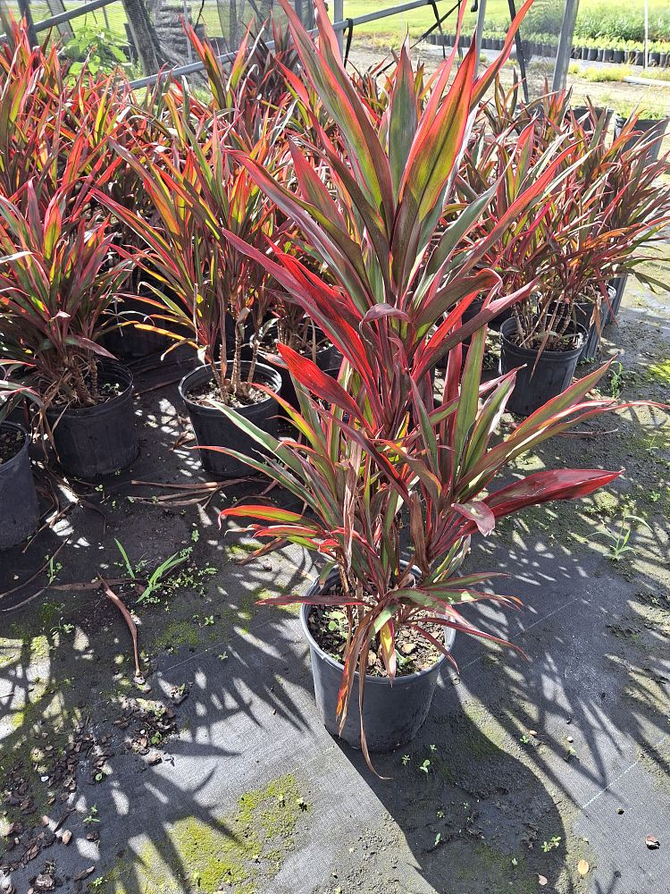 Sanford Gardens, LLC | plantANT.com