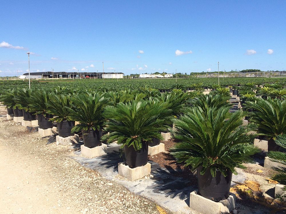 Acosta Farms Container Farm | plantANT.com