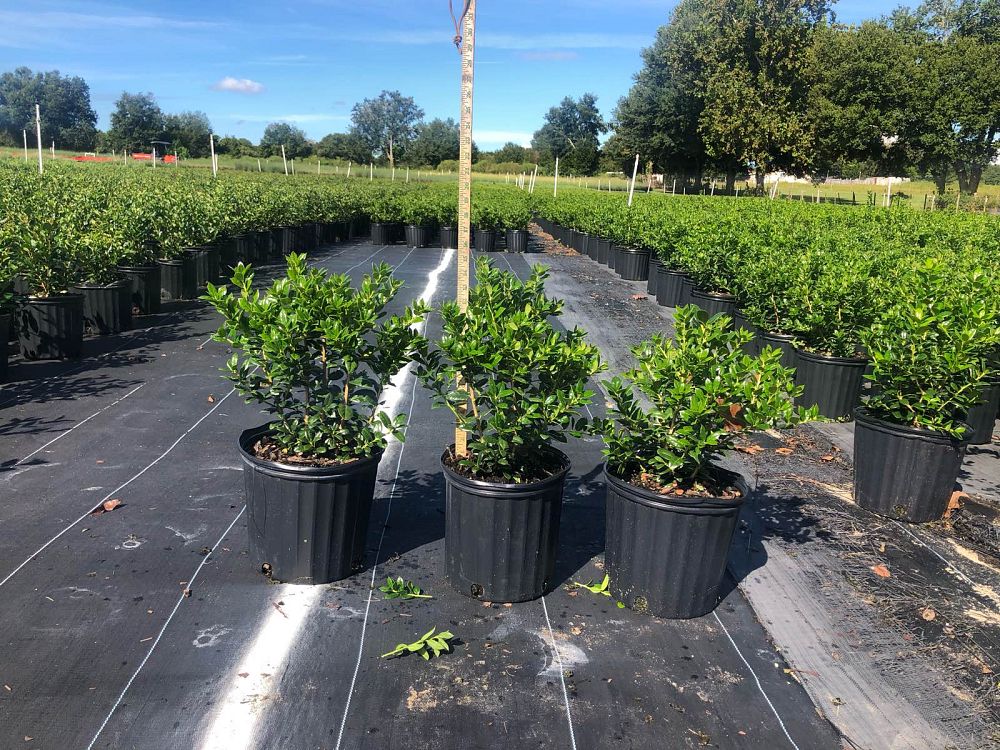Dawson Plant Ranch | plantANT.com