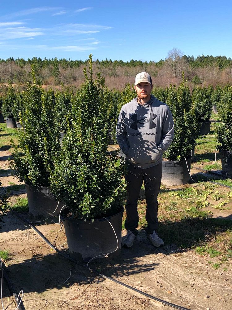 Image Gallery - Evergreen Nursery