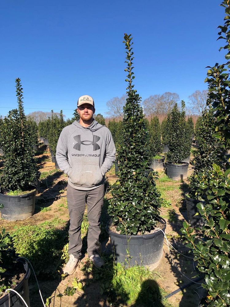 Image Gallery - Evergreen Nursery