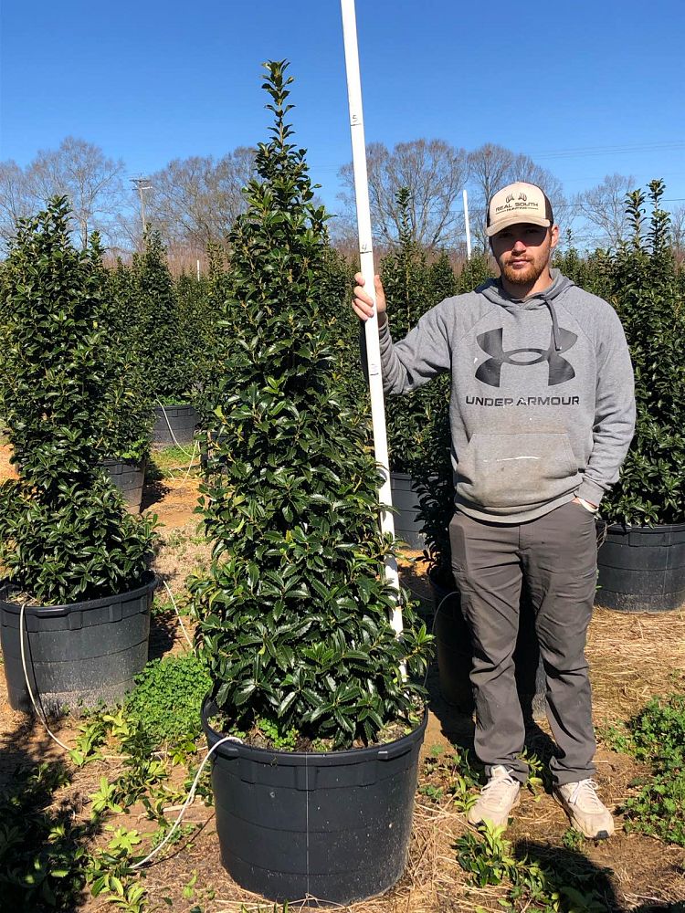 Image Gallery - Evergreen Nursery