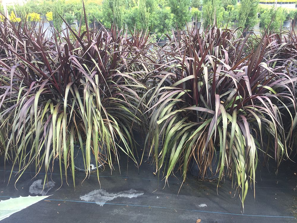 Keller Landscape Supply, LLC | plantANT.com