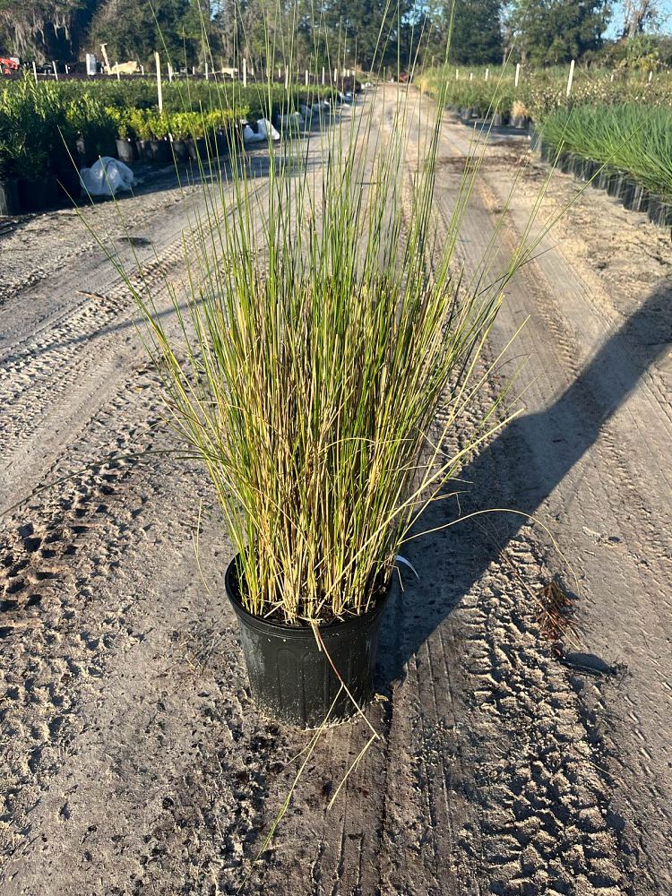 Salmon's Wholesale Nursery | plantANT.com